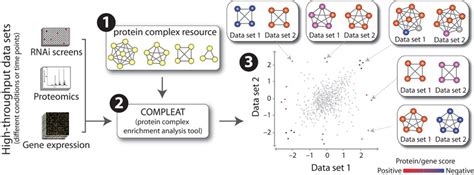 protein complex based analysis framework for high throughput data sets