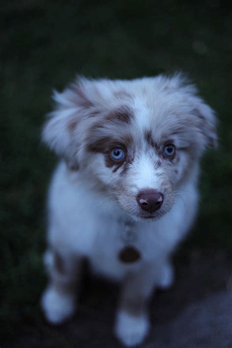 My Wife Is A Photographer Newborn But Takes Amazing Pictures Of