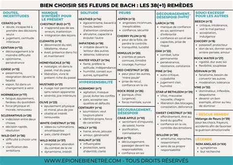 Utilisation Des Fleurs De Bach Le Guide Tableau R Capitulatif