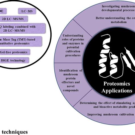 Commonly Used Techniques In Proteomics And A Summary Of The Proteomics Download Scientific