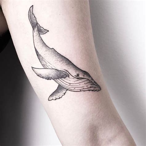 Beautiful Whale By Julian Julianbuesingtattoo Tattoo Apprentice