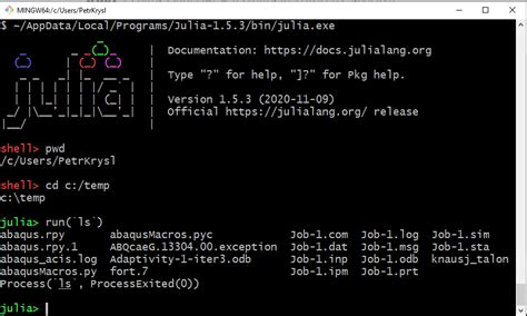 Getting Julia Repl Working In Windows Git Bash New To Julia Julia Programming Language