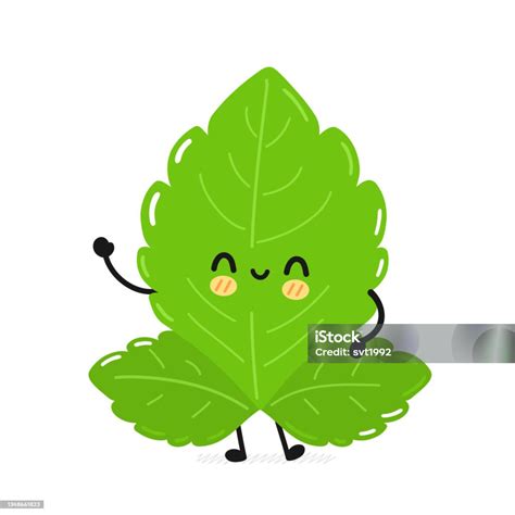 귀여운 재미 스테비아 잎 문자 벡터 핸드 그린 간단한 평면 만화 가와이 문자 일러스트 아이콘 흰색 배경에 격리 스테비아 설탕 잎 만화 캐릭터 개념 만화에 대한 스톡 벡터