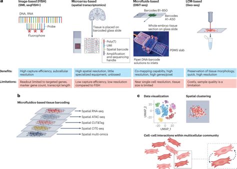 The Technological Landscape And Applications Of Single Cell Multi Omics Pmc