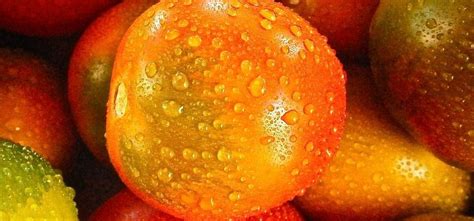 Vegetable Growing Cheat Sheet R Gardening