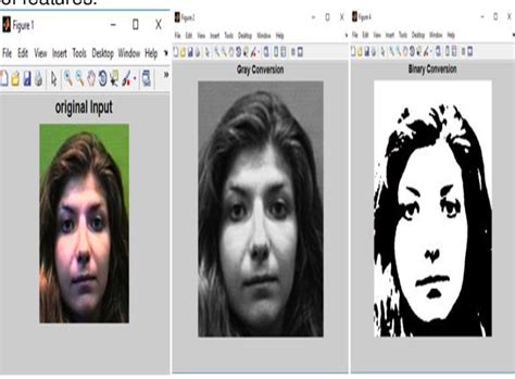 Figure 1 From A Relative Analysis Of Multimodal Biometric Fusing Face