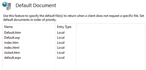 C When Mvc Iis Publish I Cant See My Web Application File