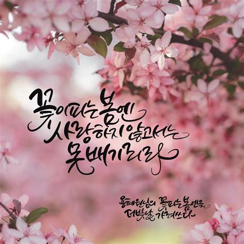 더빛날캘리 용혜원 꽃피는봄엔 꽃피는 봄엔 사랑하지 않고서는 못배기리라 꽃이 이제 나올