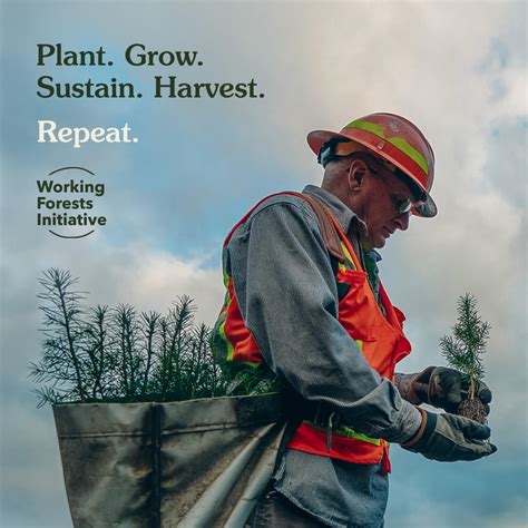 Resolute Joins U S Based Working Forests Initiative The Resolute Blog