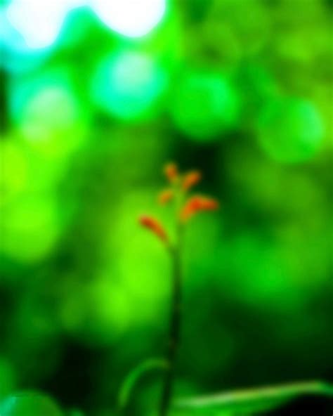 🔥dslr Blur Photo Editing Background Free Download Pics Pngbackground