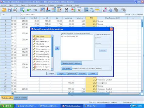 El Blog De Katiuska Calcular Y Recodificar Variables Segmentar