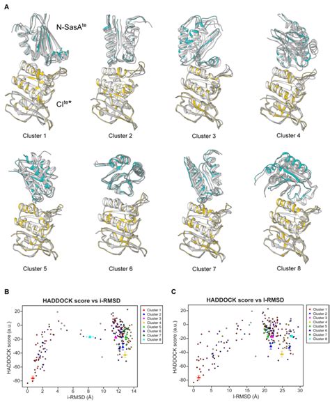 Fig S30 Haddock Clusters Of Ci Sasa Models And Their Statistics A
