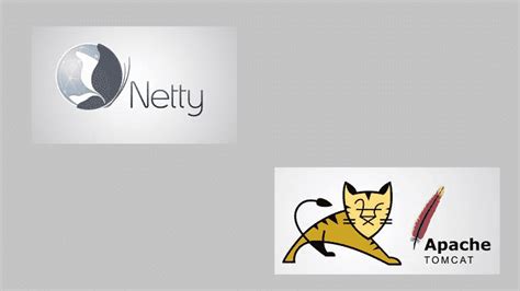 Netty Vs Apache Tomcat Whats The Difference Developers Designers And Freelancers
