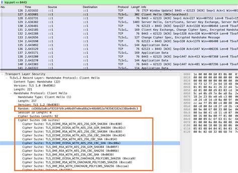 【実践編】通信の中身を見て、どのようにしてセキュアな通信が確立されるかを理解する フューチャー技術ブログ