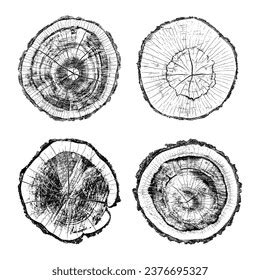 Tree Wood Texture On White Background Stock Vector Royalty Free 2376695327 Shutterstock