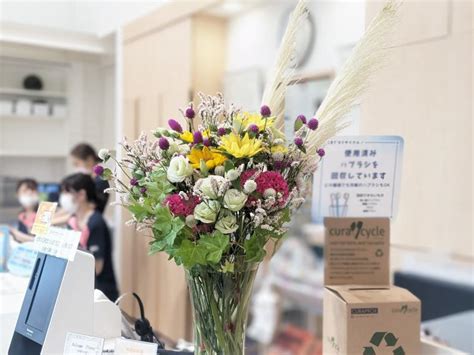 夏野菜で暑さを乗り切る！！｜盛岡市や紫波郡の皆さんの健康と笑顔を守る神の前歯科医院