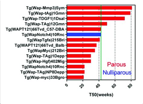 Tumor Latency In Wap Promoter Driven Gemm A Graph Indicates A Tumor