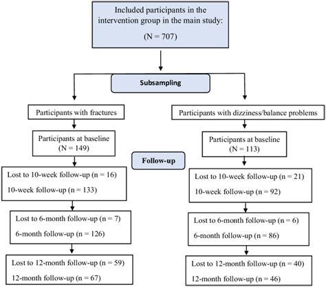 Flow Chart Of The Participants At Three Follow Ups Download Scientific Diagram