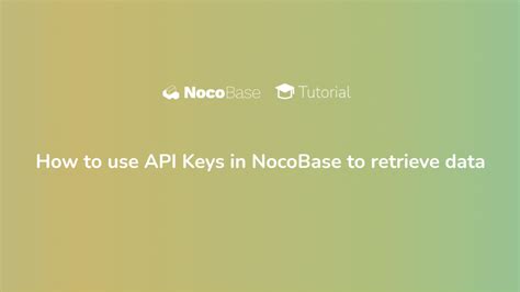How To Use Api Keys In Nocobase To Retrieve Data