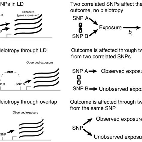 Typical Scenarios Of Pleiotropy In Causal Inference Of Gene Expression Download Scientific