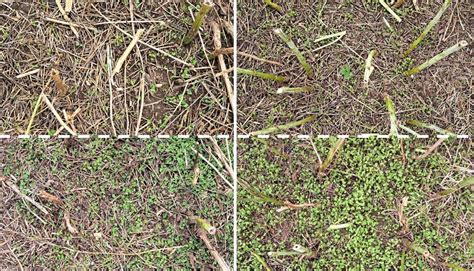 Does Rl Data Back Up Pod Shatter Resistance Claims Ahdb