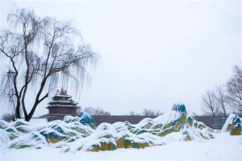 故宫角楼素材 故宫角楼模板 故宫角楼图片免费下载 设图网