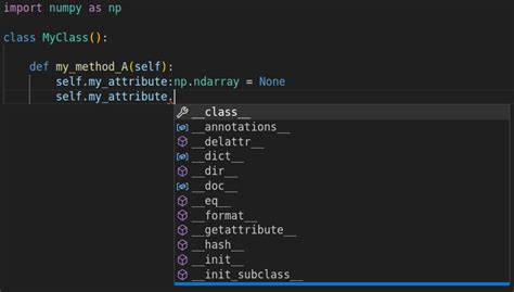 Autocomplete Doesnt Detect The Type Of An Hinted Attribute When Its