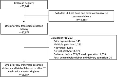 Prediction Of Vaginal Birth After Cesarean In Term Gestations A Calculator Without Race And