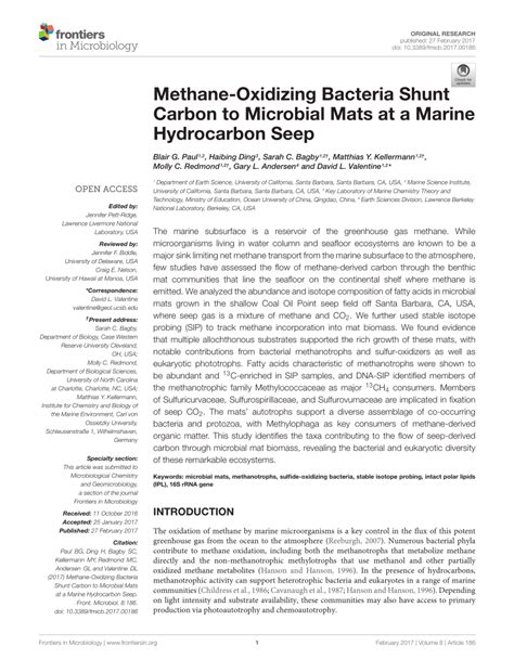 Pdf Methane Oxidizing Bacteria Shunt Carbon To Microbial Mats At A Marine Hydrocarbon Seep