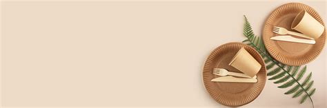 야외 피크닉 환경 보호 에코 유기농 판지 접시 나무 포크 및 나이프 종이컵을 위한 일회용 에코 식기 0명에 대한 스톡 사진 및