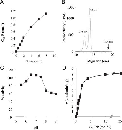 Undecaprenyl Pyrophosphate Semantic Scholar