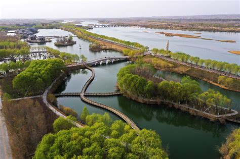 甘肃高台：柳绿映碧水 黑河岸边春意浓湿地