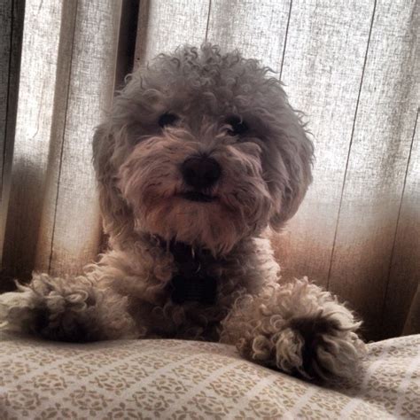 Personal Alarm Clock