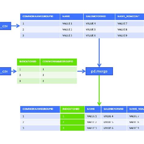 Schematic Representation Of Our Databases Structure The Database