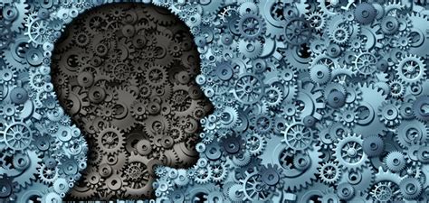 Navigating The Ai Hype With A Clearer Segmentation Hfs Research