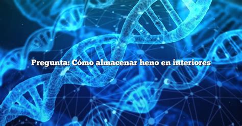 Pregunta Cómo almacenar heno en interiores Diffusonslascience