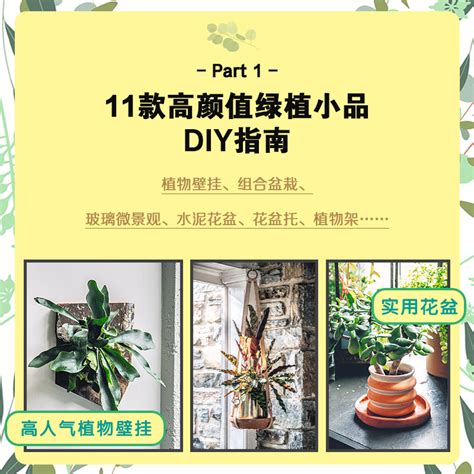 植物风格3玩转绿植植物装饰手作指南 Ins人气绿植设计师教你玩转绿植用绿植自制点亮空间室内园艺小品植物养护与布置技巧书籍虎窝淘
