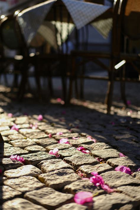 Photogrpahy Xh2 가구 갑판 의자 건축 금속 프레임 나무 노천 도시 두바이 마리나 럭셔리 레스토랑 레스토랑 테이블 레저 마리나 멕시코