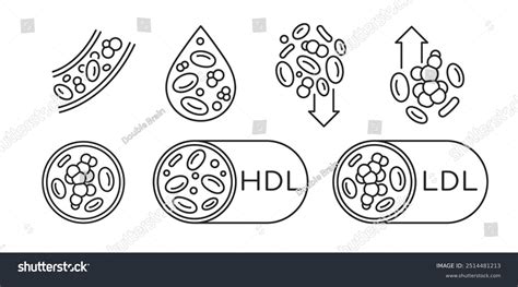 Hdl Good Ldl Bad Cholesterol Icons Stock Vector Royalty Free 2514481213 Shutterstock