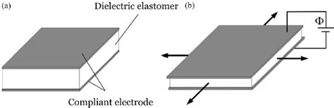 A Schematic Illustration Of The Dielectric Elastomer Actuator A At Download Scientific