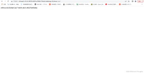 ctfshow版本控制泄露代码1 2 版本控制泄露源码 csdn博客