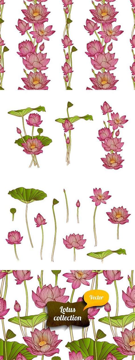 Lotus Vector Collection For Creative Projects