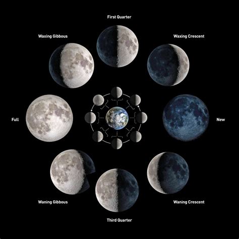 Diagram Of The Moon S Phases File Lunar Phase Diagram Png