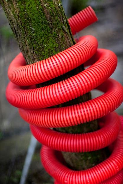 Premium Photo Pipe And Tree