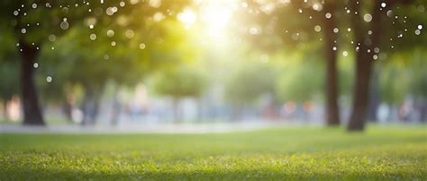 Premium Photo A Field Of Grass With Trees In The Background