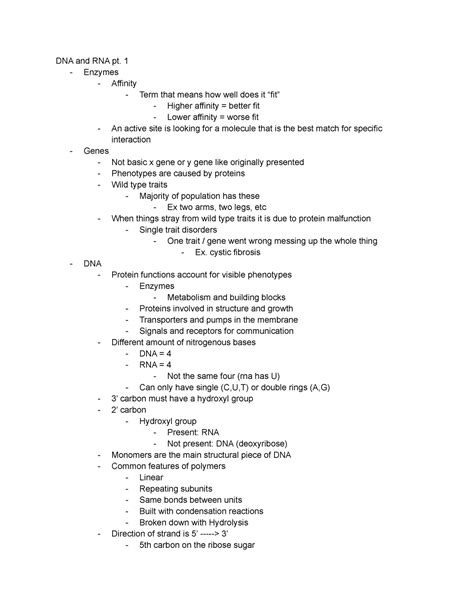 DNA And RNA Lecture Notes On DNA And RNA Dr Ashmore DNA And RNA Pt Enzymes Affinity