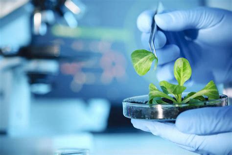 生物技术实验室方案介绍 北京川布兰生物技术开发有限公司 中学生物实验整体解决方案