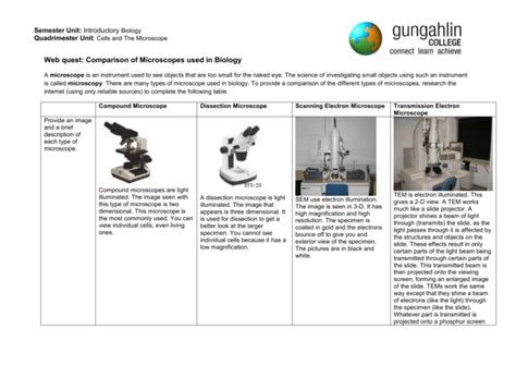 Microscope Comparison Web Quest Biology Worksheet