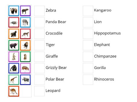 Wild Animals Vocabulary Part 2 Match Up